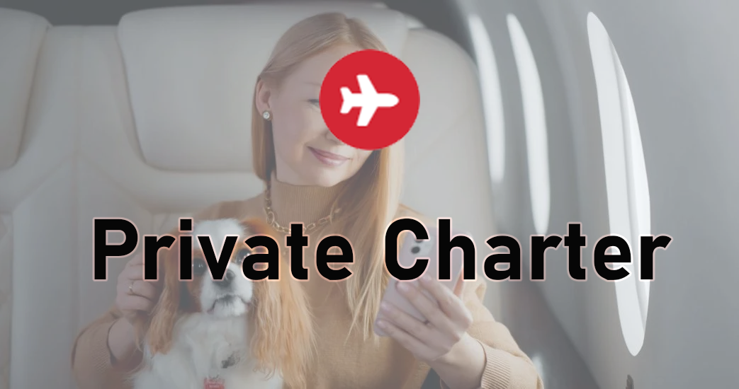 Big Apple Jet – Air charters, jet shares, and jet sales